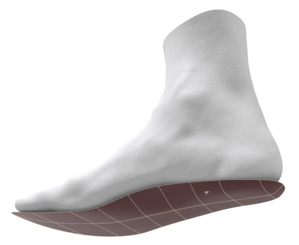 Parametric Orthotic and Insole Design Software within 3DShoemaker ...
