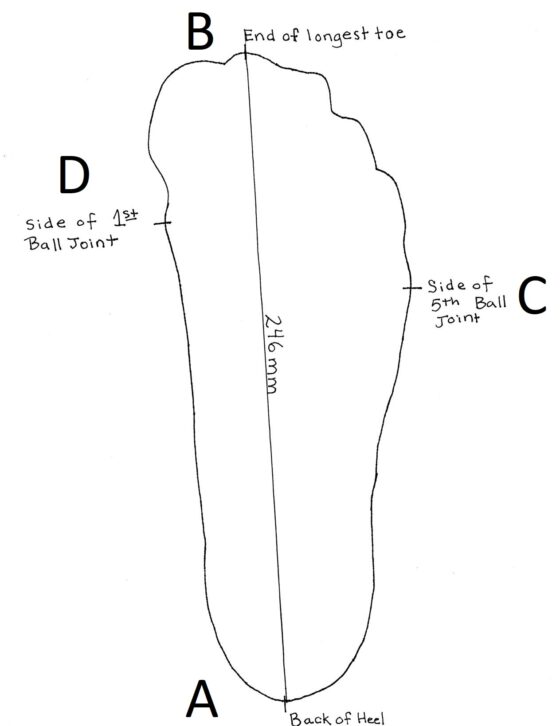 Tracing a Foot for Bespoke and Custom Shoe Lasts - 3DShoemaker