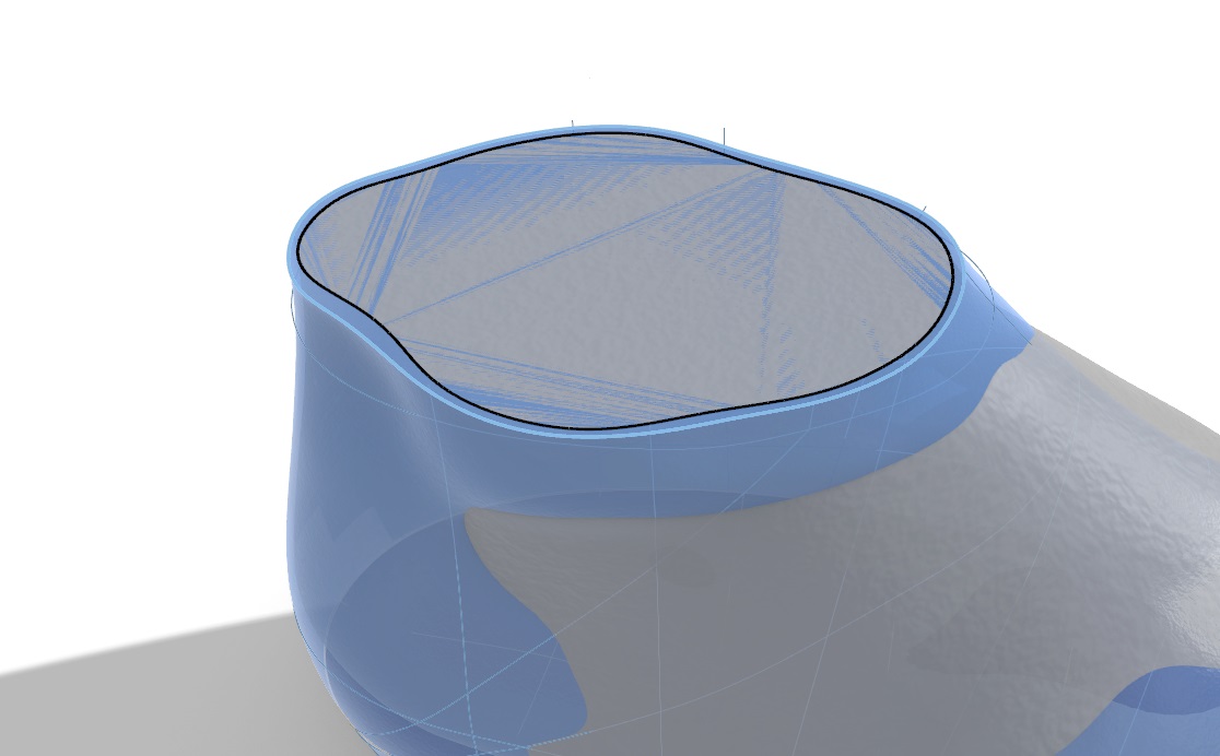 Sculpting Shoe Lasts and Orthotics in 3DShoemaker - 3DShoemaker