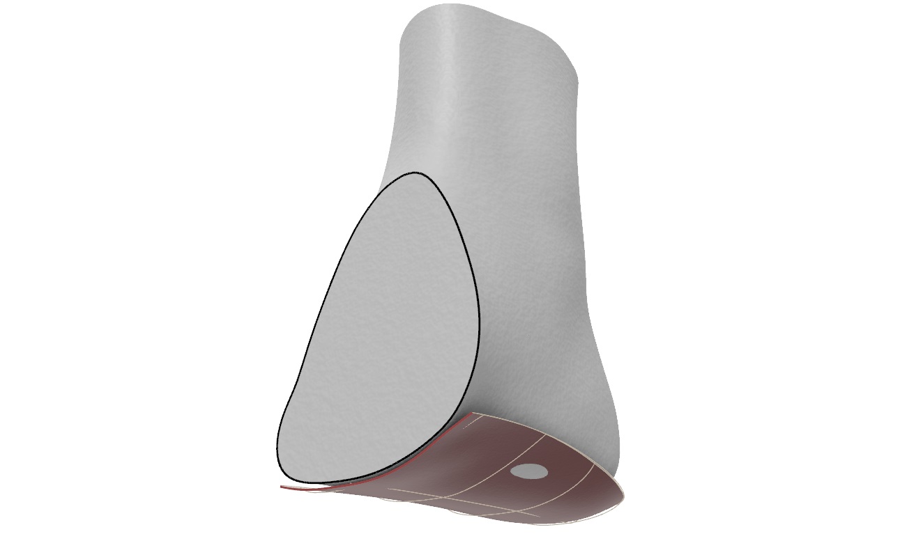 Sculpting Shoe Lasts and Orthotics in 3DShoemaker - 3DShoemaker